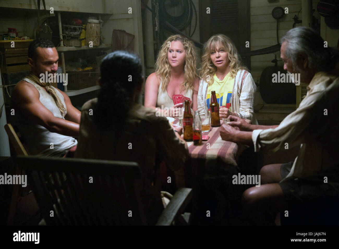 Snatched is a 2017 American action comedy film directed by Jonathan ...