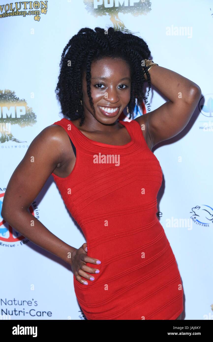 St. Martin's Animal Foundation proudly presents 'Envision A World ...