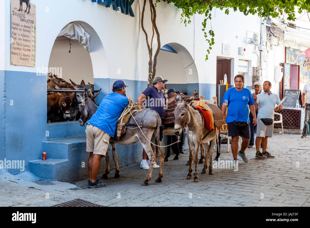 Local Men Wait With Donkeys At The Entrance Of Lindos Town To Transport ...
