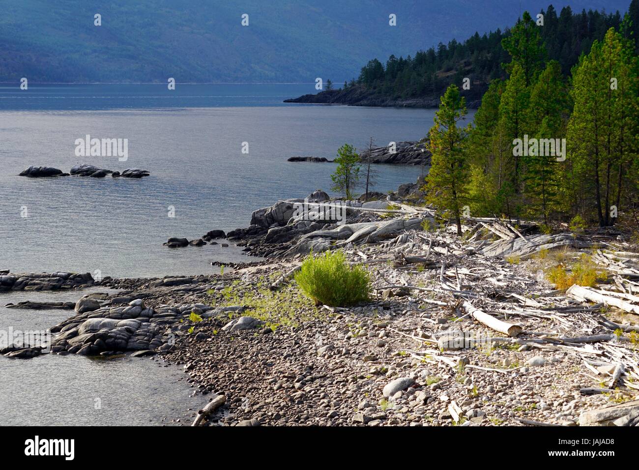 Quiet wanderlust hi-res stock photography and images - Alamy