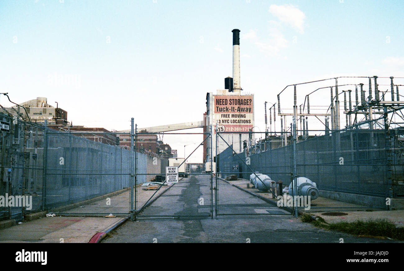 Coned Plant - Brooklyn Stock Photo - Alamy