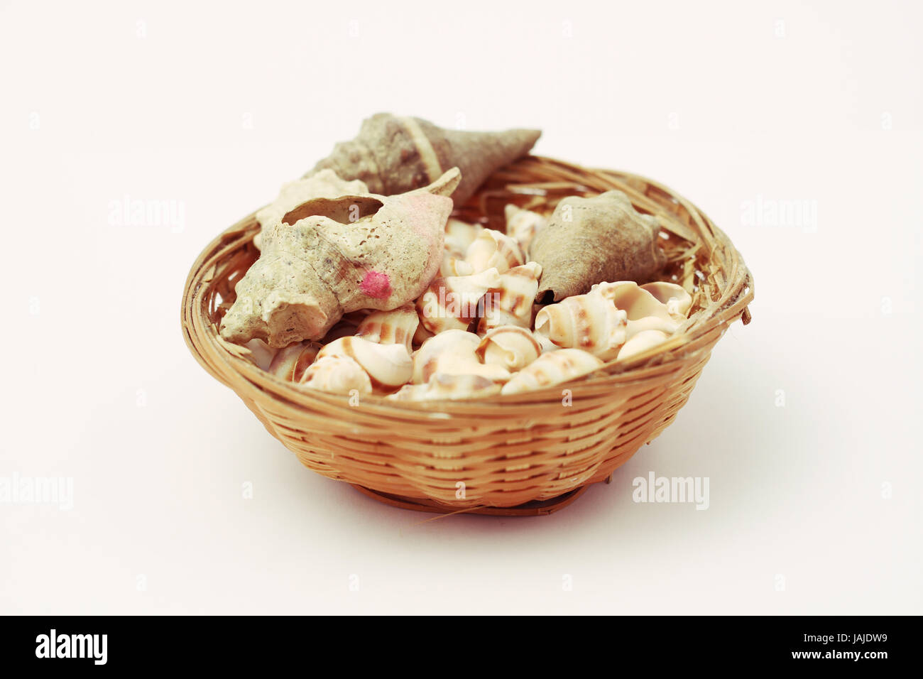 Seashell and Basket isolated on white background Stock Photo - Alamy