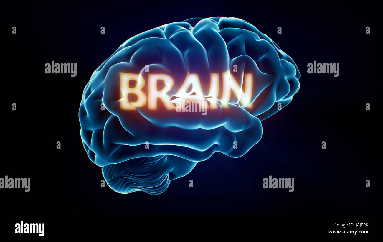 Xray Brain isolated on black background Stock Photo - Alamy