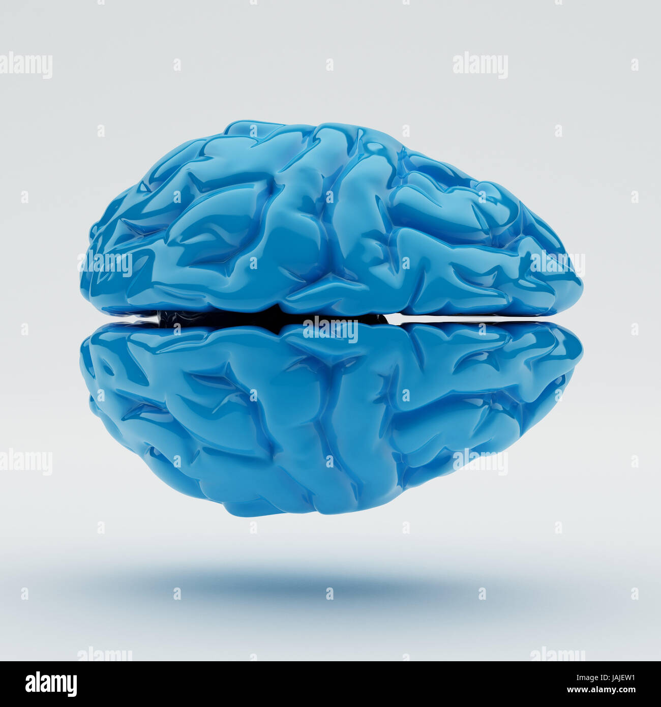 Brain isolated on white background Stock Photo - Alamy