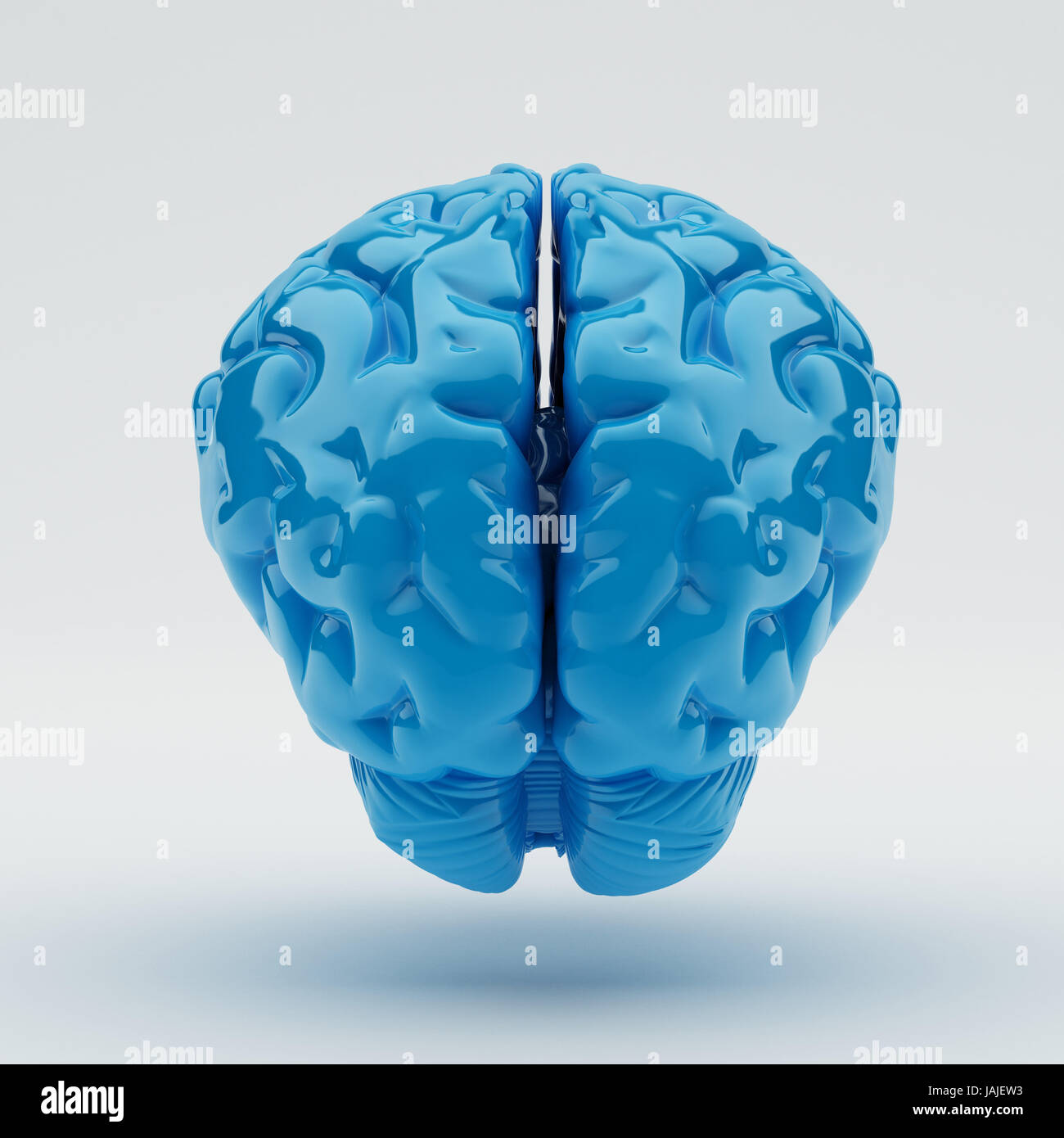 Brain isolated on white background Stock Photo - Alamy