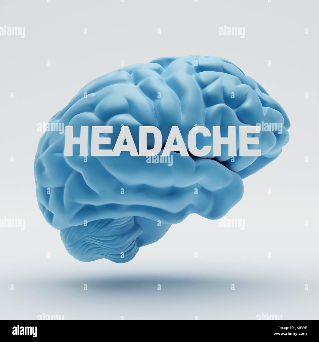 Brain isolated on white background Stock Photo - Alamy
