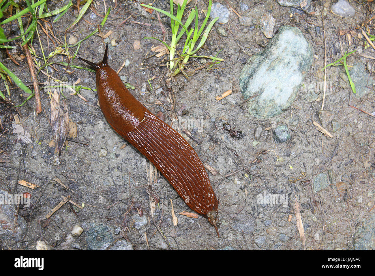 Keel mountain hi-res stock photography and images - Alamy