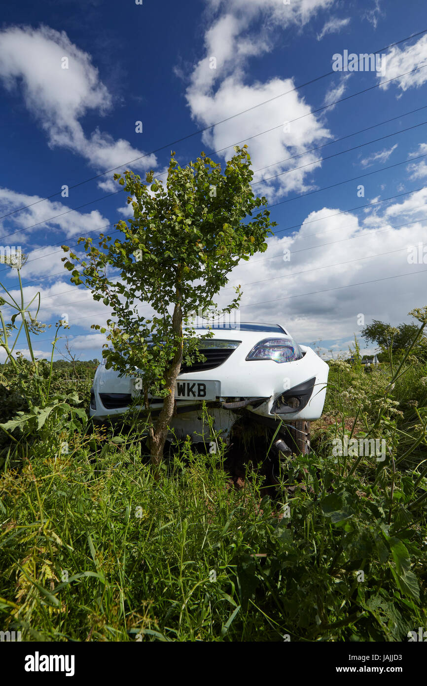 Car through hedge hi-res stock photography and images - Alamy