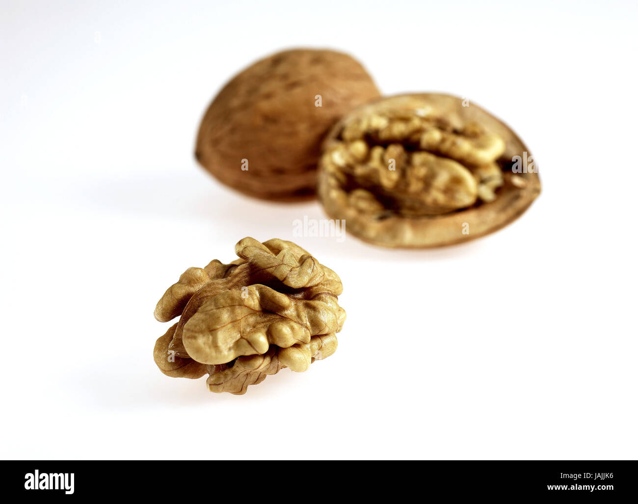 Real walnut,Juglans regia,white background Stock Photo - Alamy