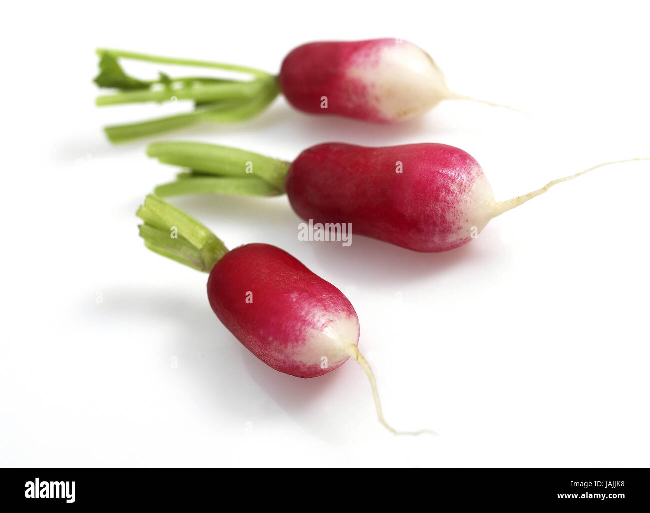 Garden radish,radish,Raphanus sativus,white background Stock Photo - Alamy