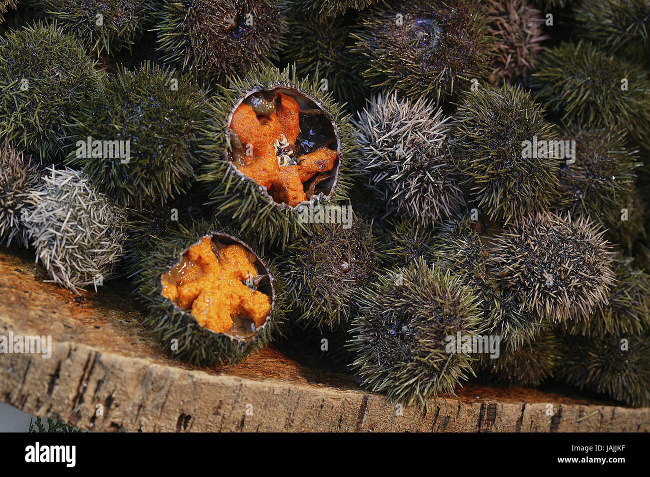 Inside sea urchins hi-res stock photography and images - Alamy
