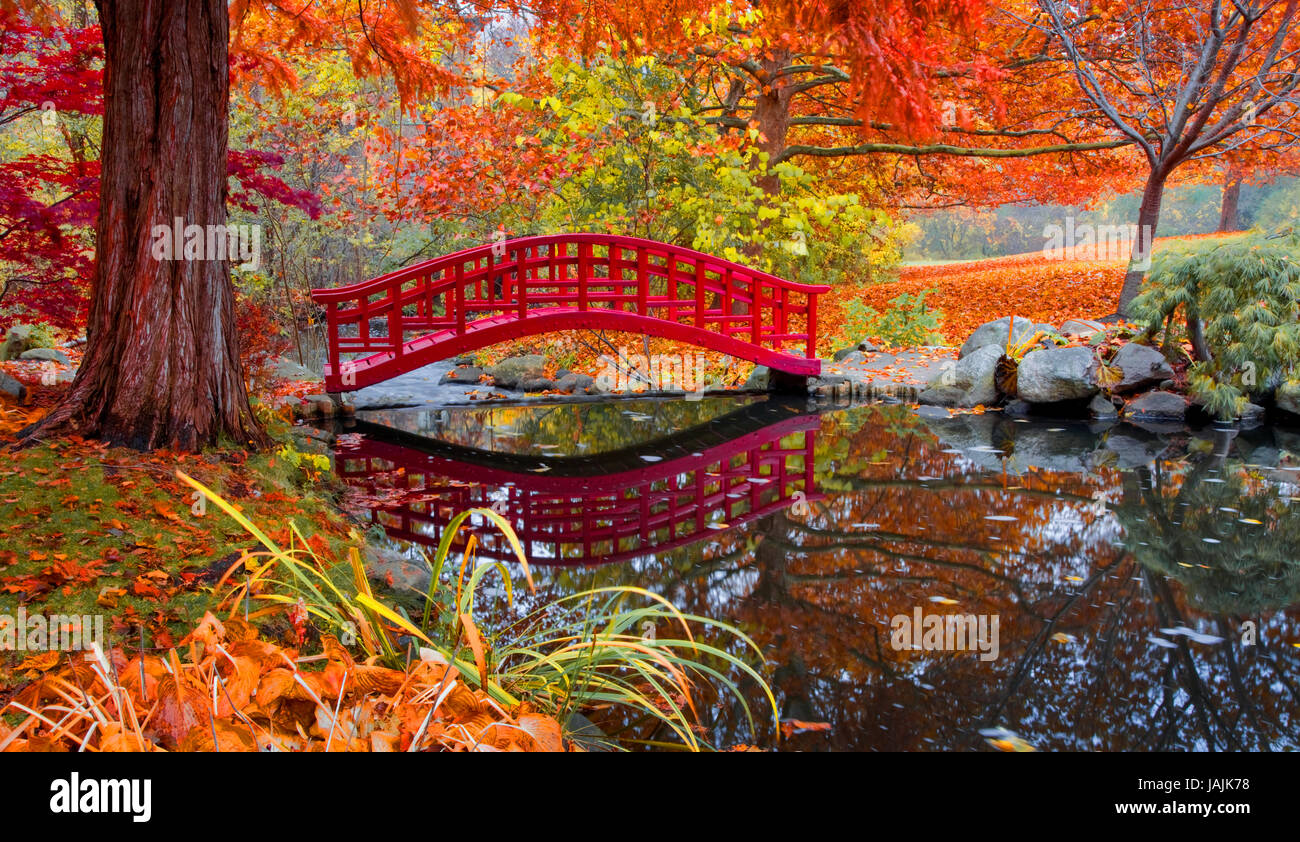 Japanese Footbridge