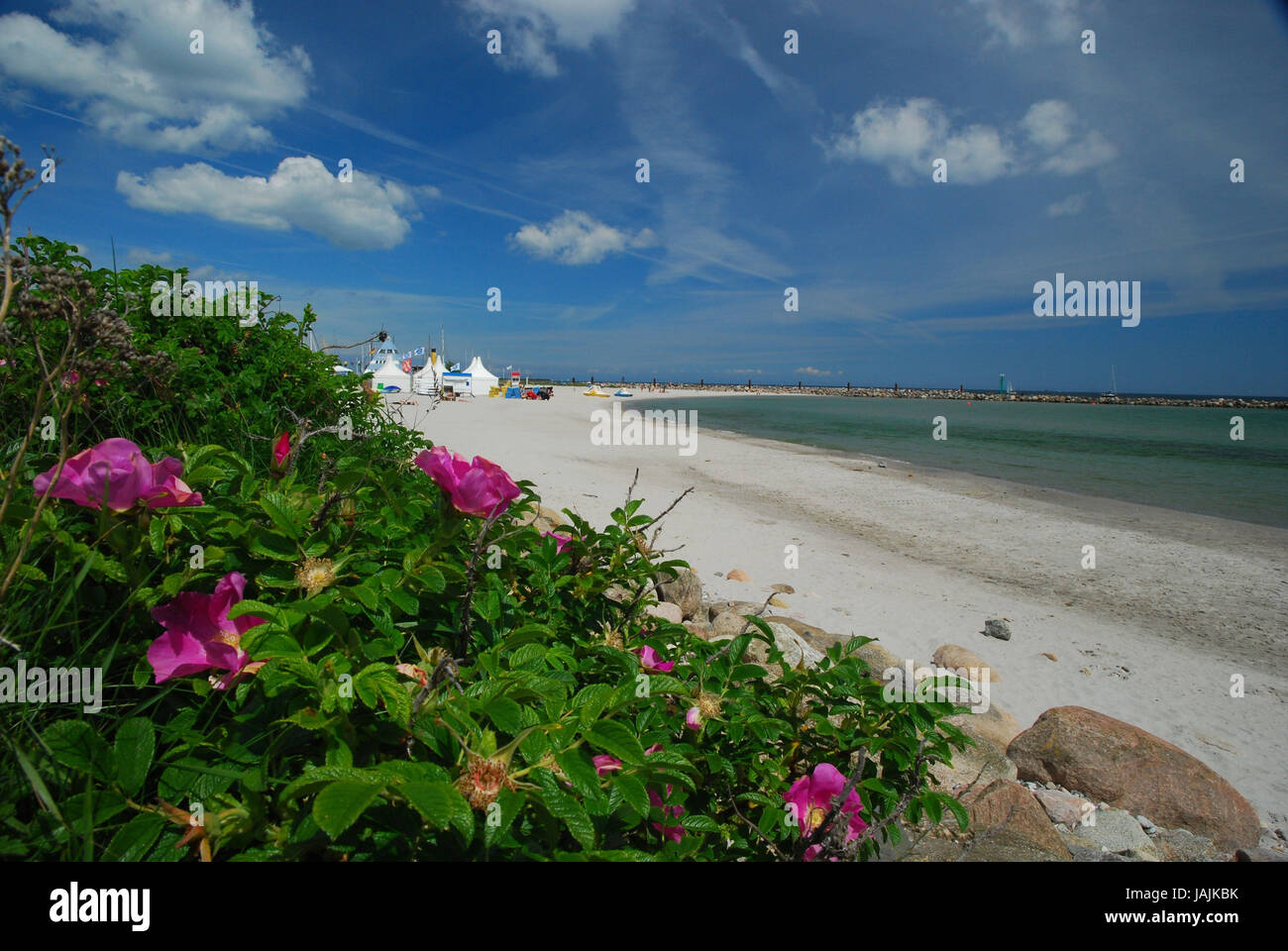 Baltic bath damp hi-res stock photography and images - Alamy
