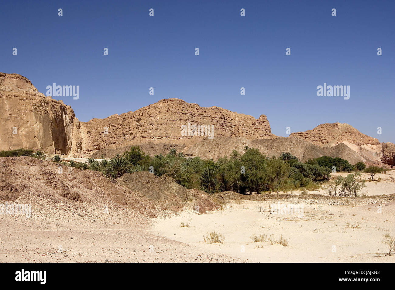 Egypt,Sinai,desert Sinai,area of Nuweiba,oasis Ain Khudra Stock Photo ...