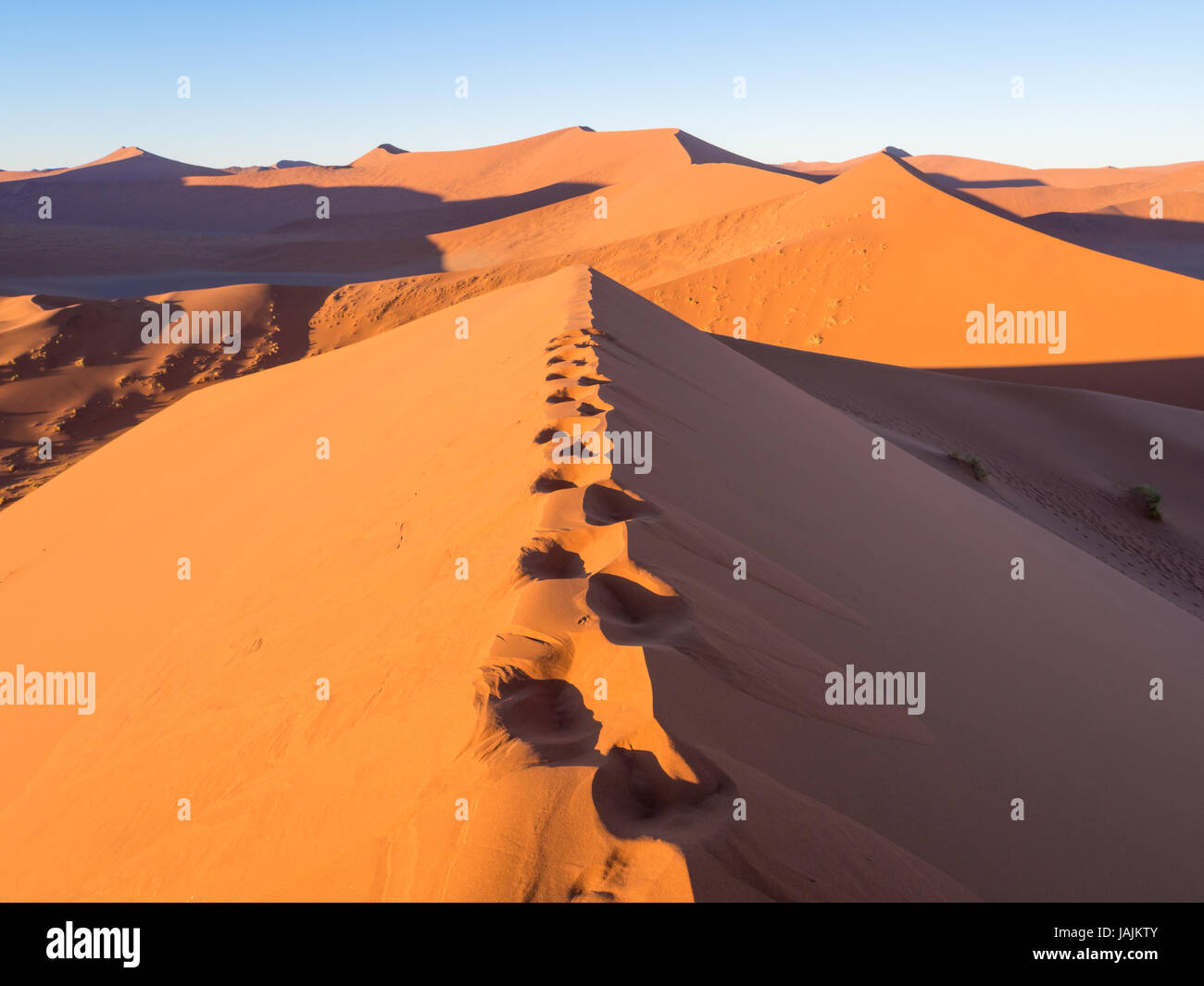 Sunrise at Dune 45 in the Sossusvlei area of the Namib Desert in ...