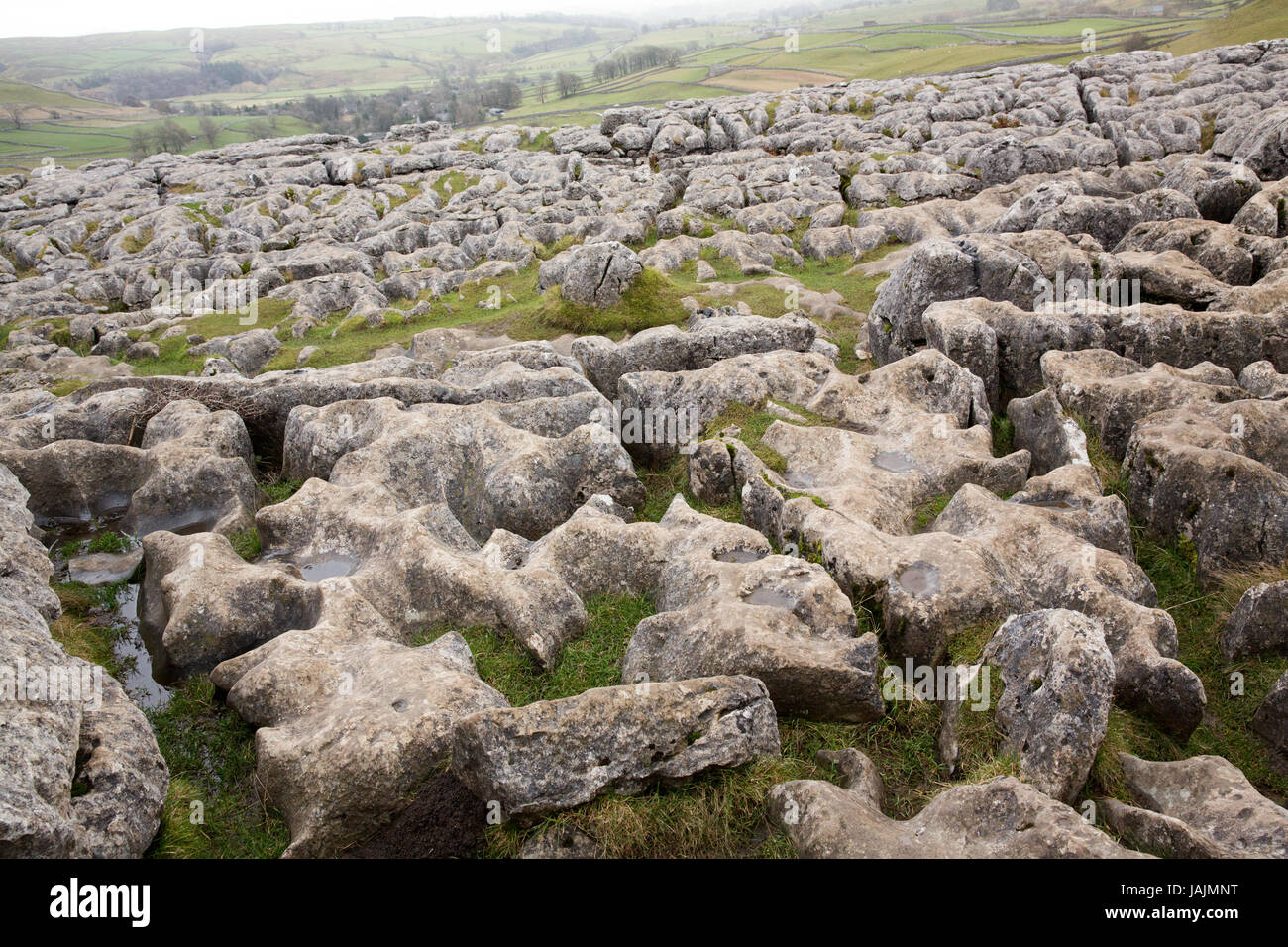The limestone pavement at Malham Cove, North Yorkshire Stock Photo - Alamy