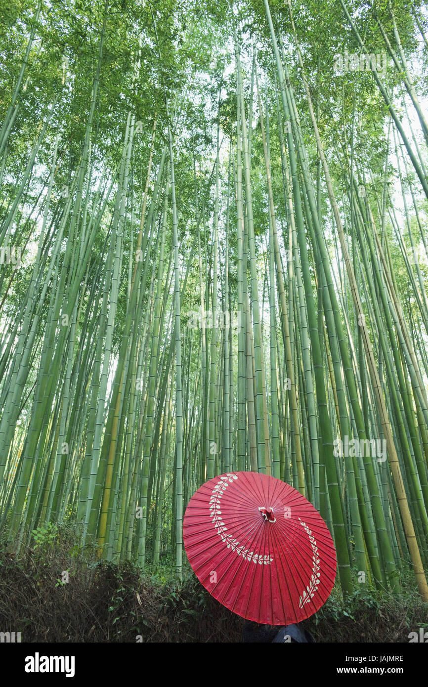 Bamboo screen hi-res stock photography and images - Alamy