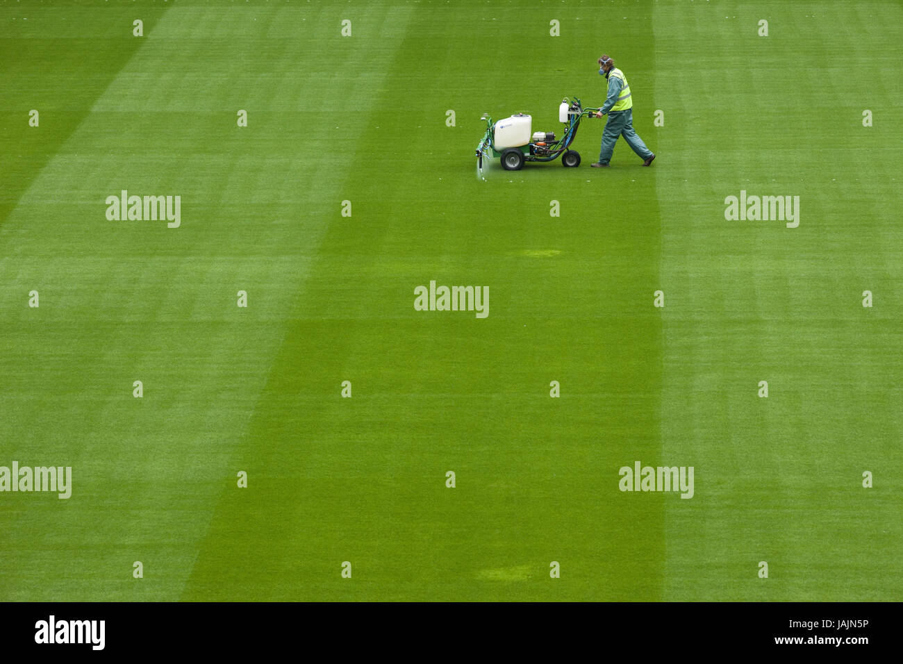 Ireland,Dublin,Aviva stadium,groundsman,turf care Stock Photo - Alamy