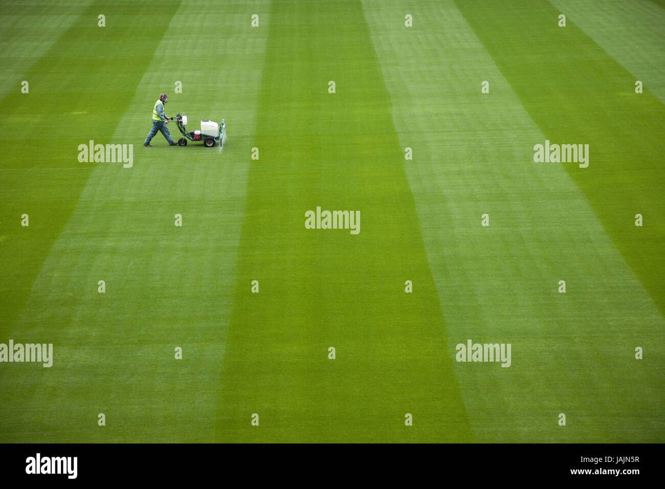 Rugby stadium groundsman hi-res stock photography and images - Alamy