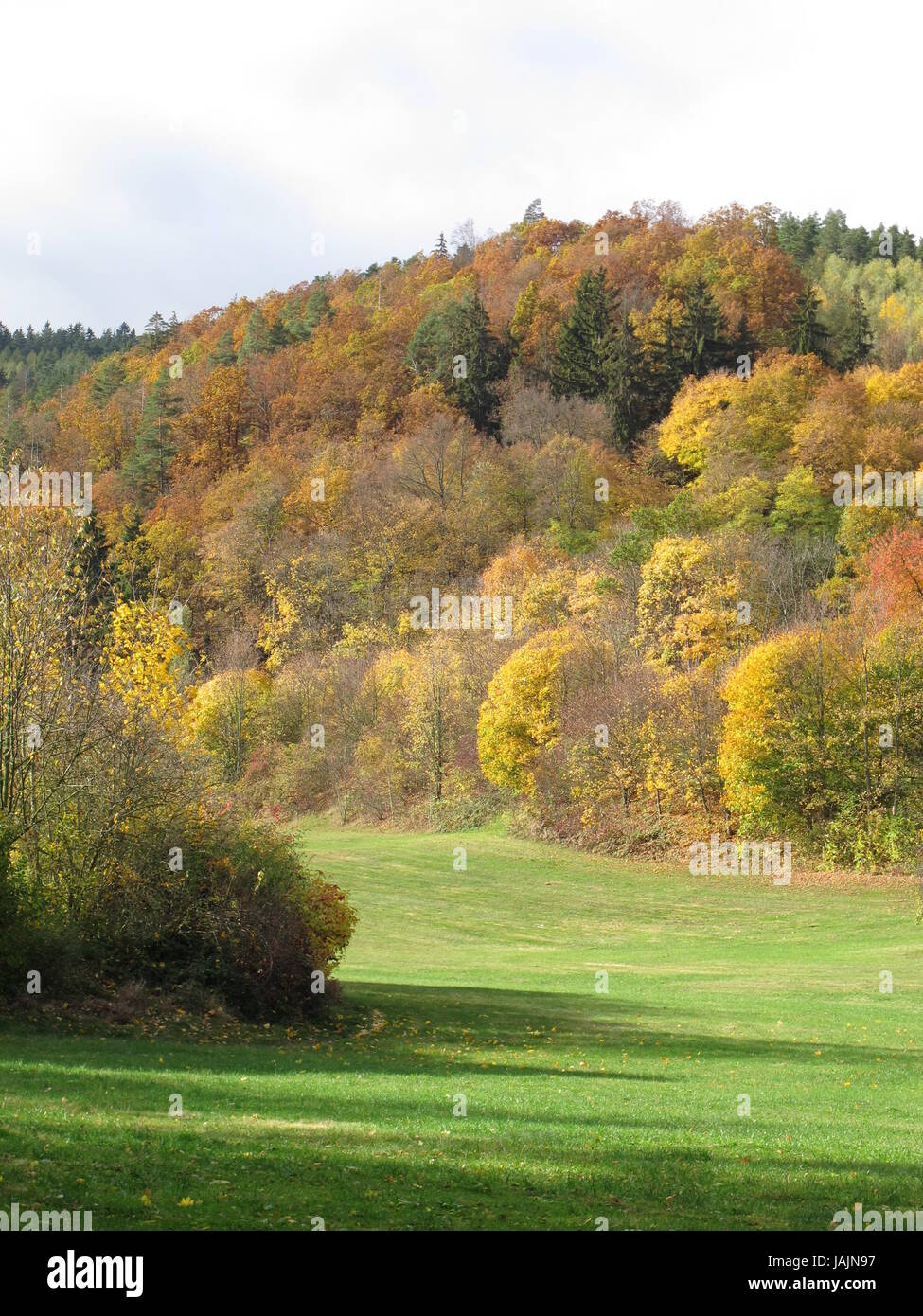 multifarious richly coloured Stock Photo - Alamy