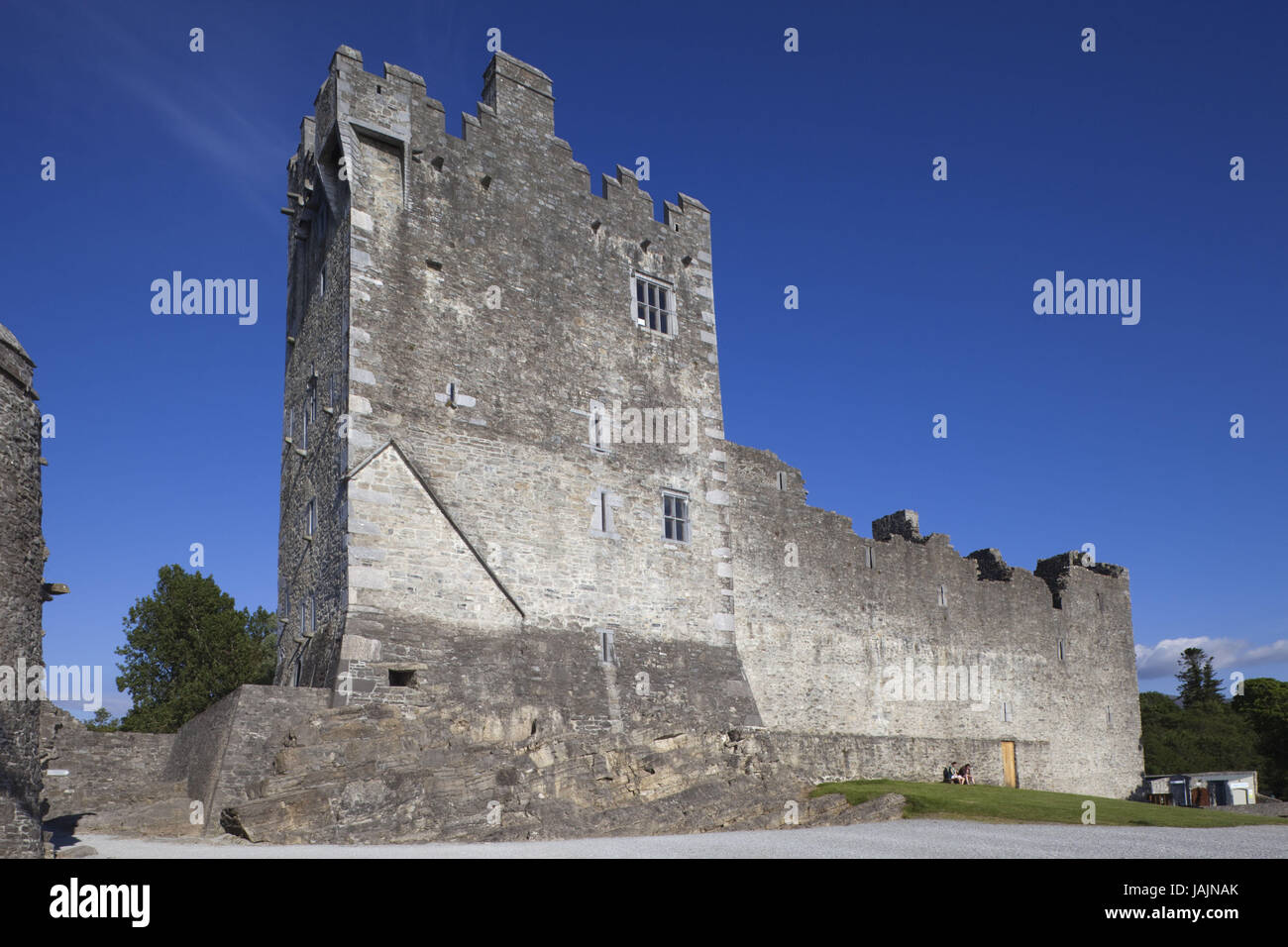 Ireland,county Kerry,Killarney,horse Castle Stock Photo - Alamy
