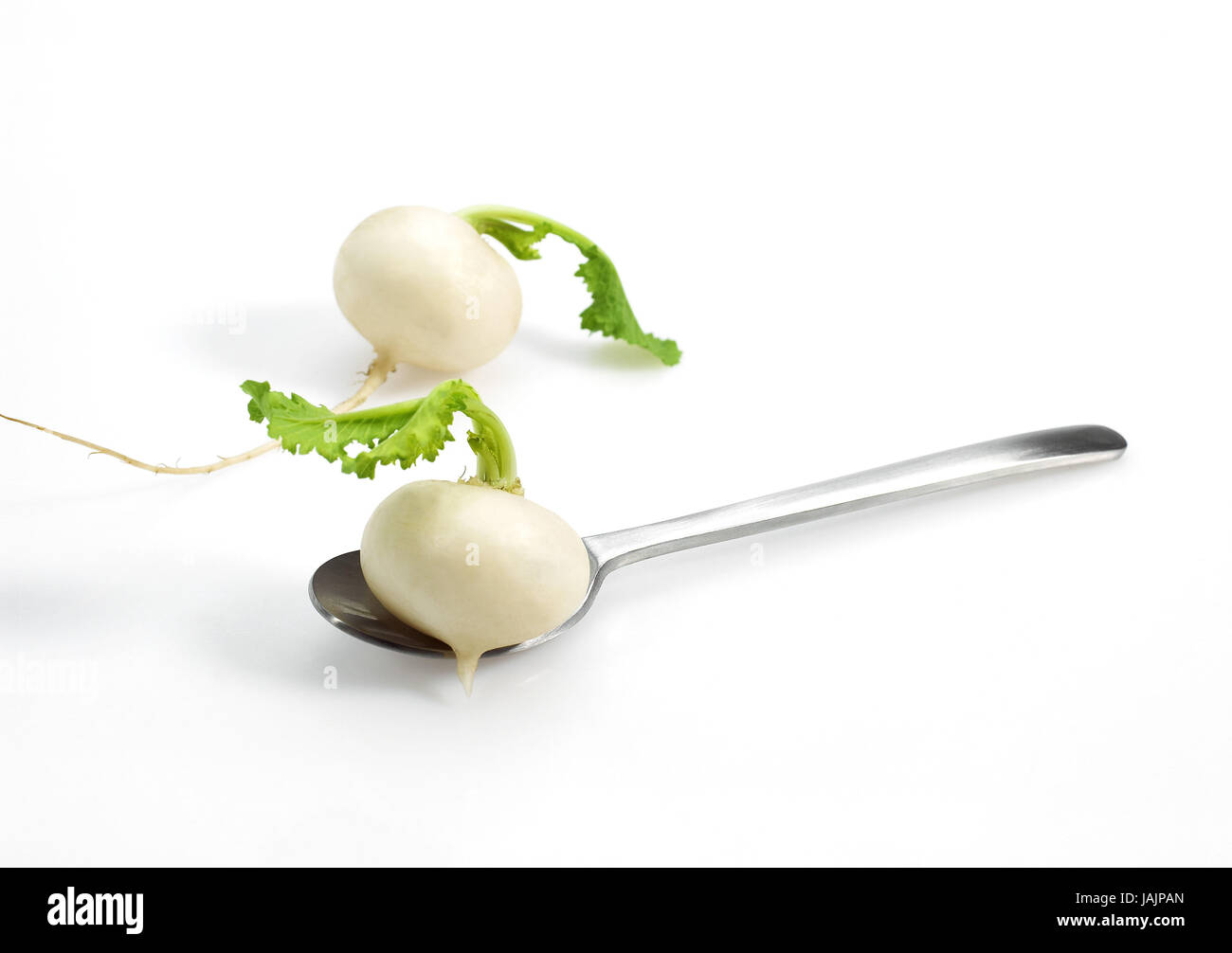 Food turnip,Brassica Rapa,white background Stock Photo - Alamy