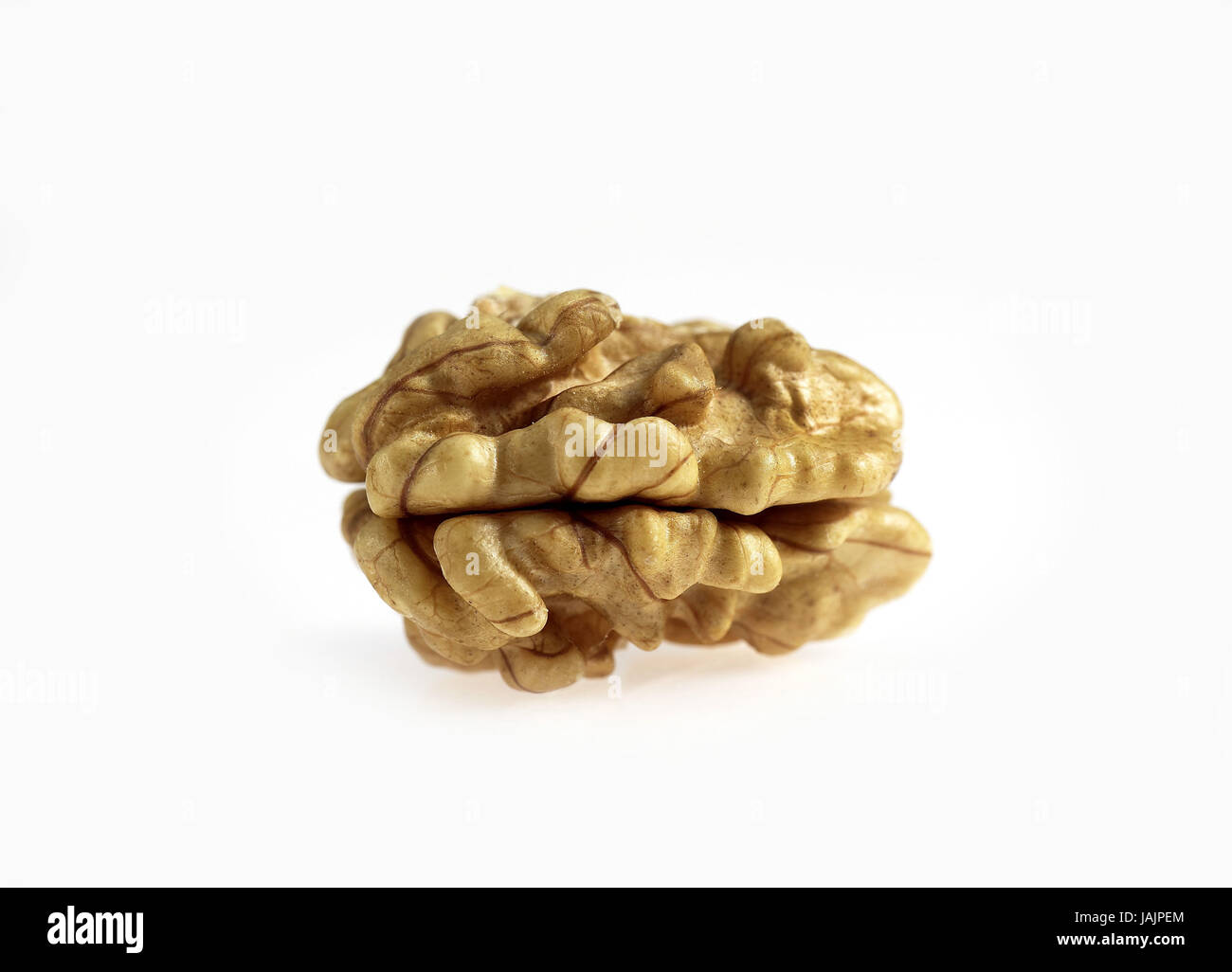 Real walnut,Juglans regia,white background Stock Photo - Alamy