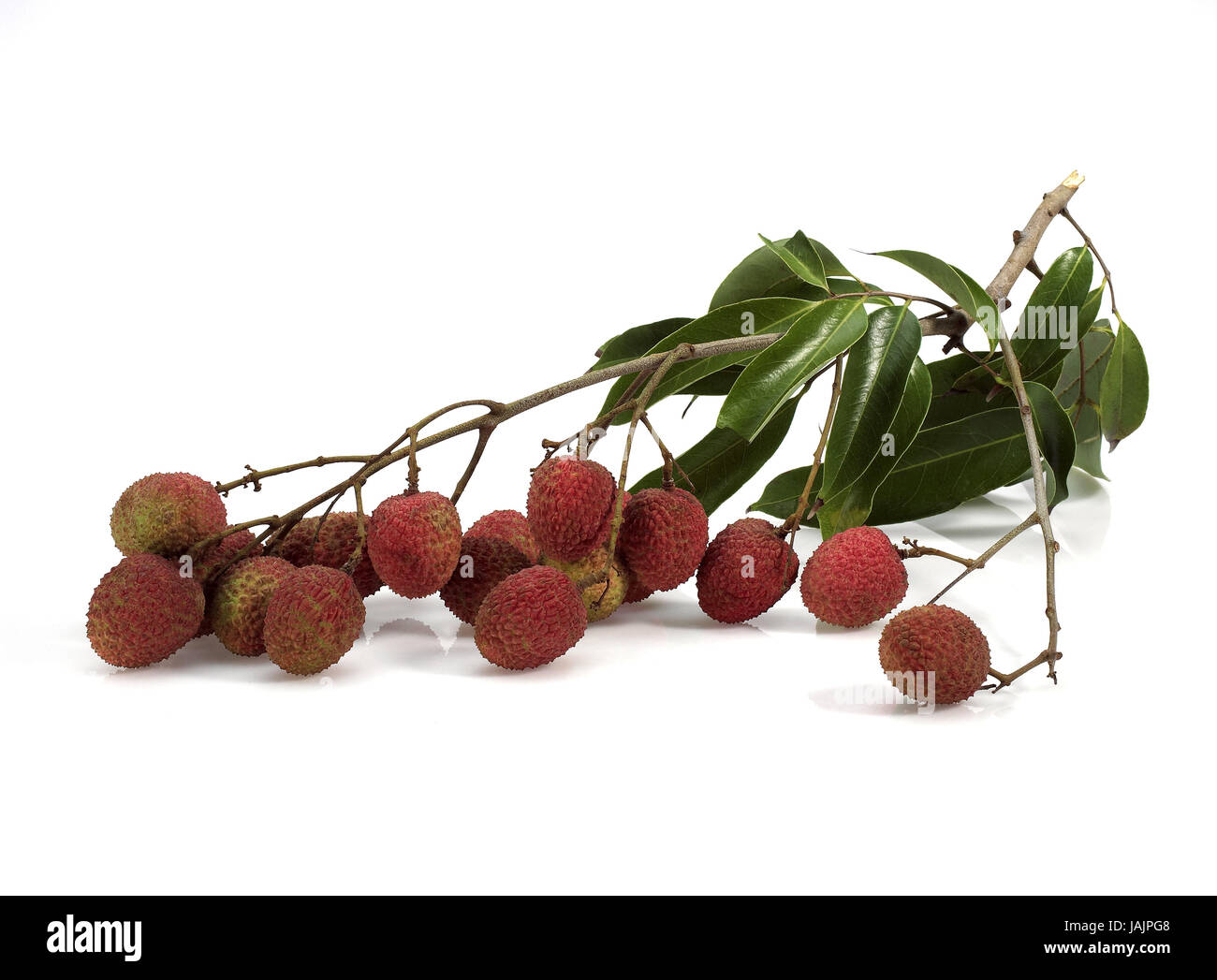 Litchi,Litchi sinensis,white background Stock Photo - Alamy
