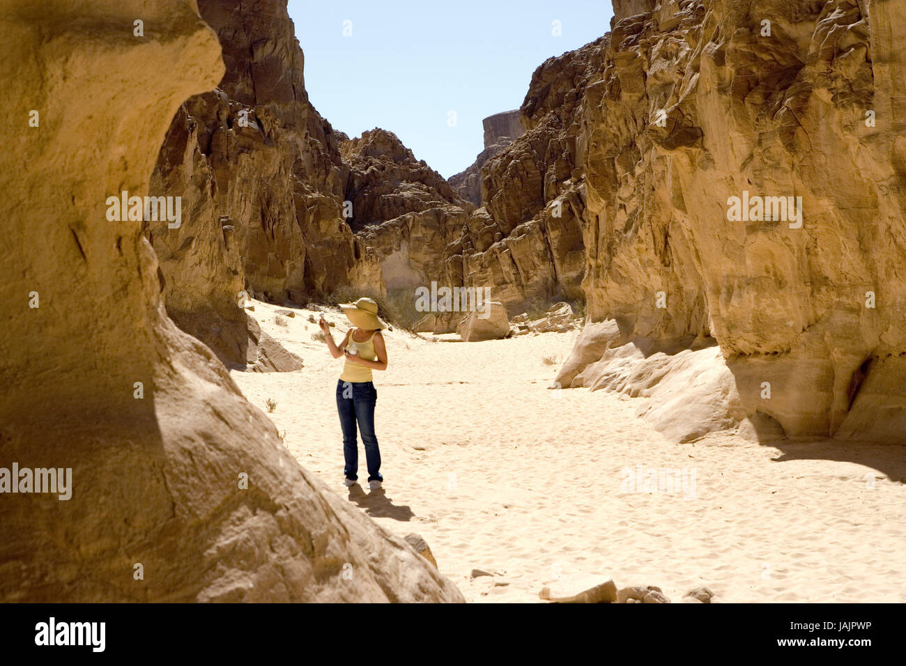 Egypt,Sinai,desert Sinai,White canyon,area of Nuweiba,tourist Stock ...