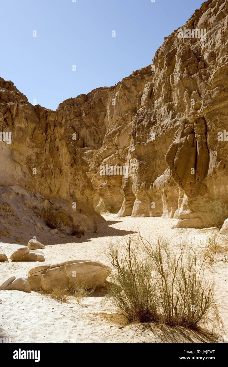 Egypt,Sinai,desert Sinai,White canyon,area of Nuweiba Stock Photo - Alamy