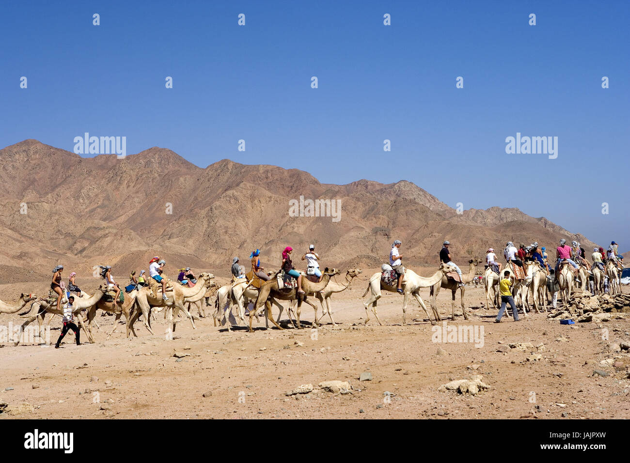 Camel golf resort hi-res stock photography and images - Alamy