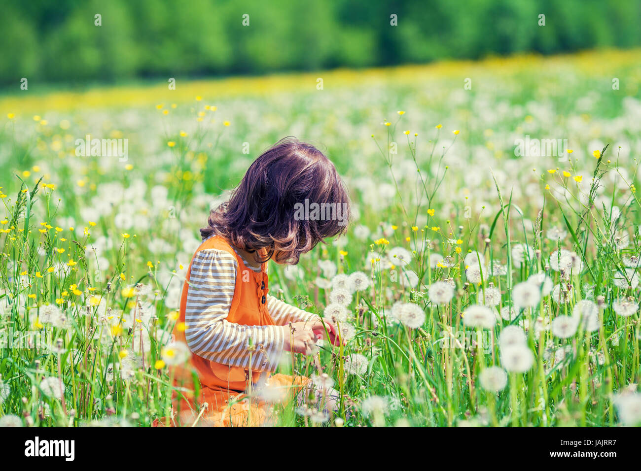 Happy little girl playing on the field of dandelion flowers in spring ...