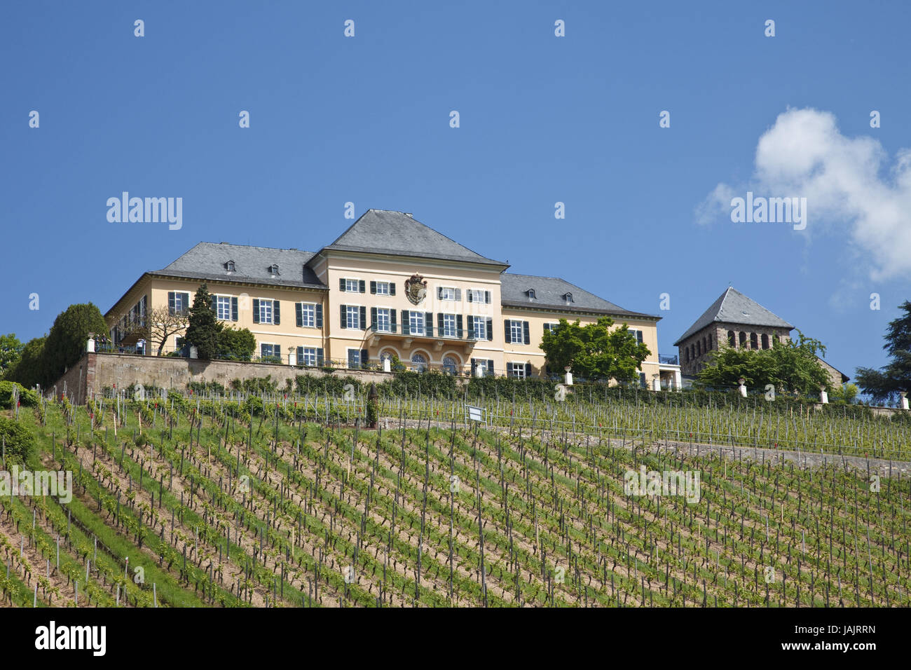 Germany,the Rhinegau,mountain Johannis,viticulture,vineyard,lock ...