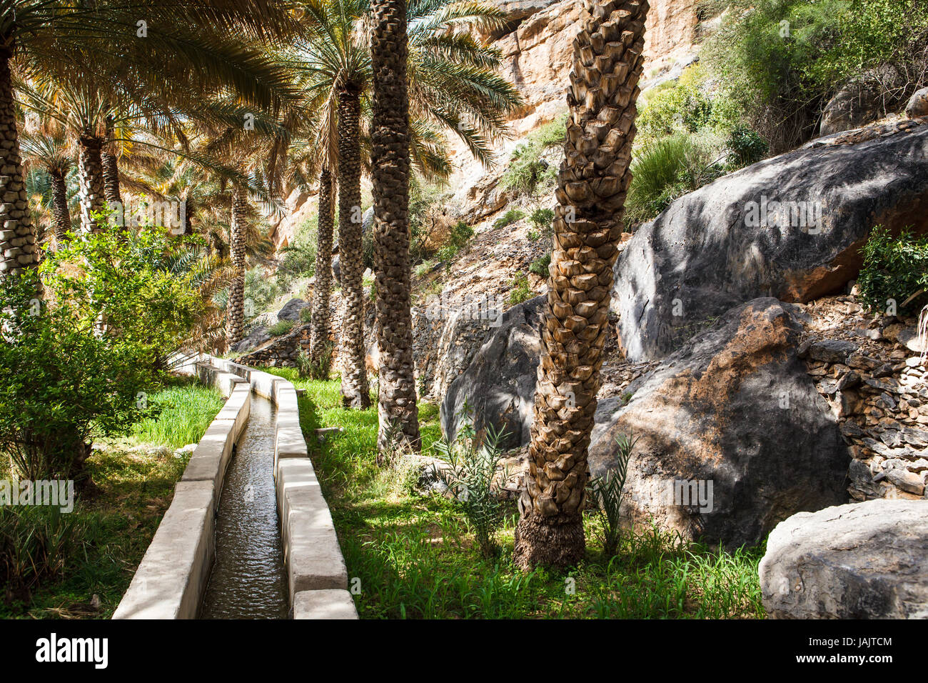 Oasis in the middle of a desert (Oman Stock Photo - Alamy