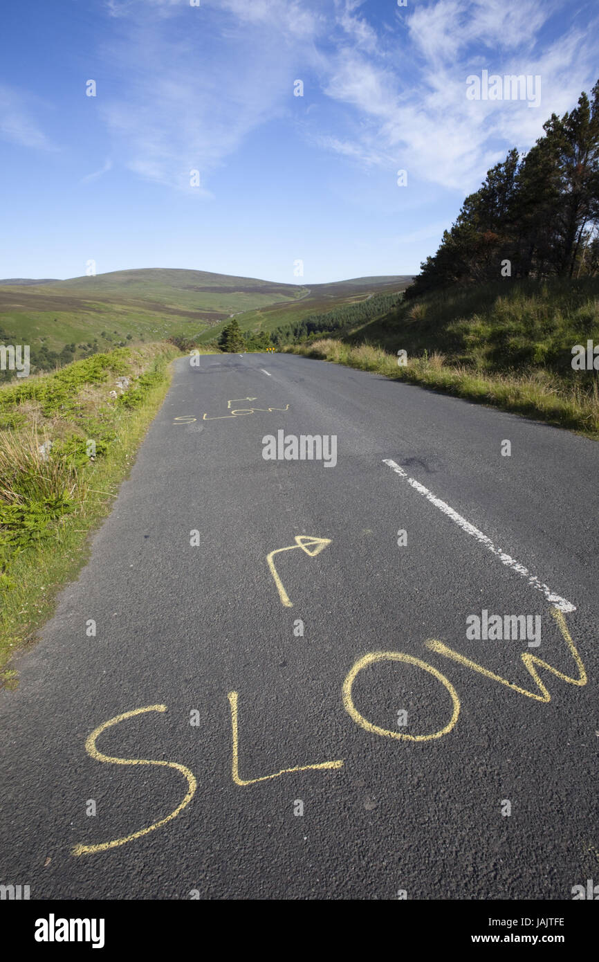 Ireland,county Wicklow,Wicklow Mountains Nationwide park,street ...