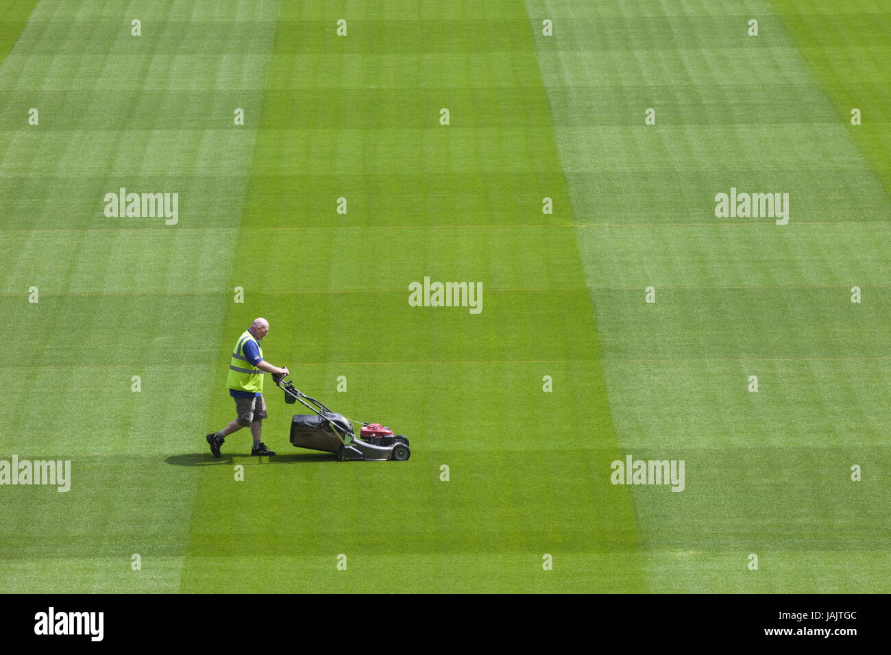 Ireland,Dublin,Aviva stadium,groundsman,turf care Stock Photo - Alamy