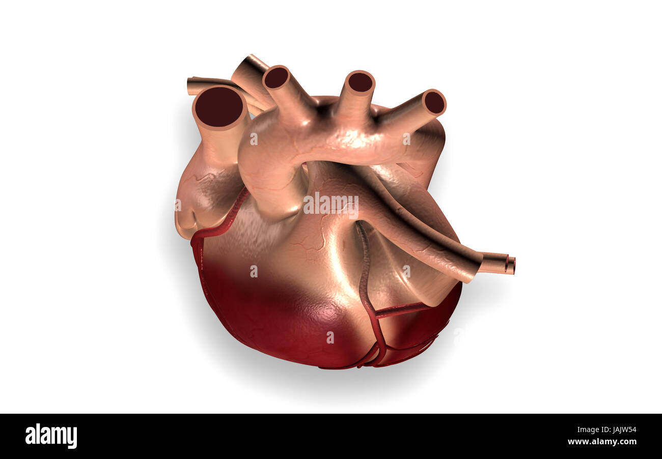 Hospital atrium Cut Out Stock Images & Pictures - Alamy