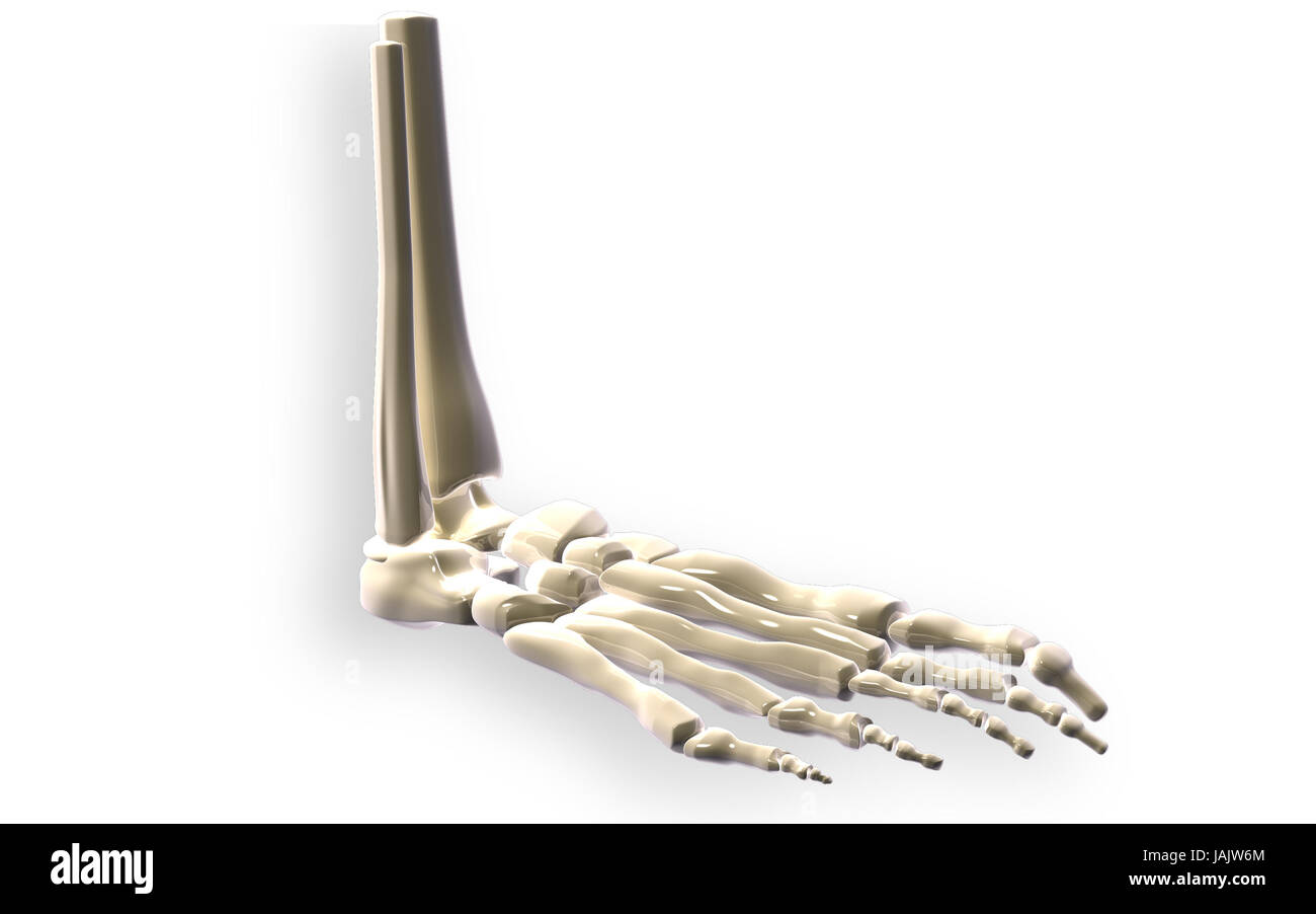 Graphics skeleton Cut Out Stock Images & Pictures - Alamy