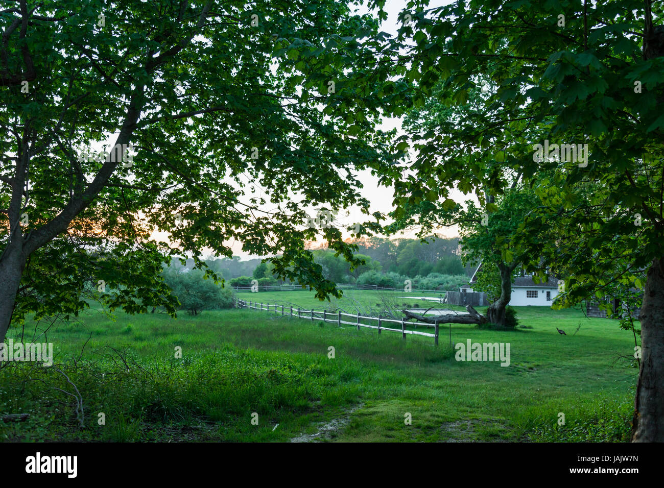 a farm at dusk in East Hampton, nY Stock Photo - Alamy