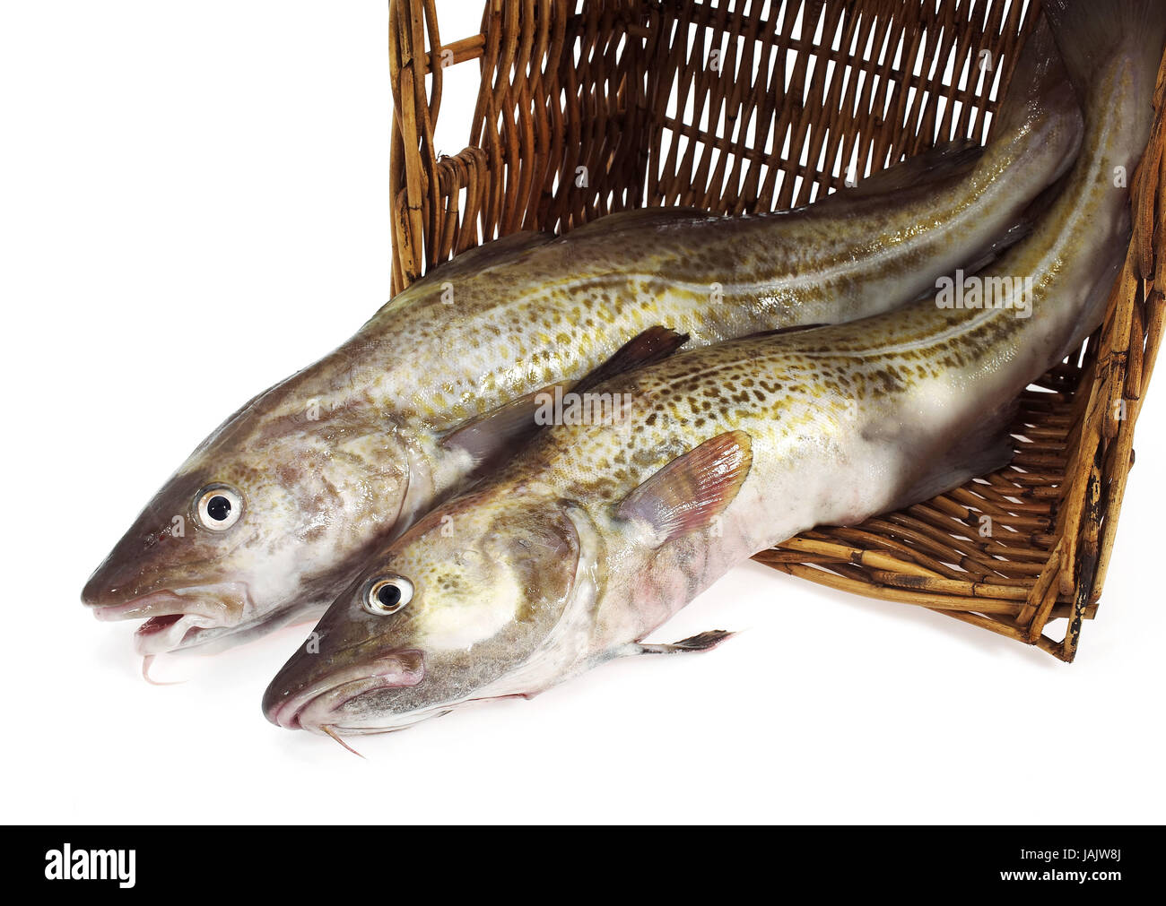 More freshly cod or cod,Gadus morhua,basket Stock Photo - Alamy