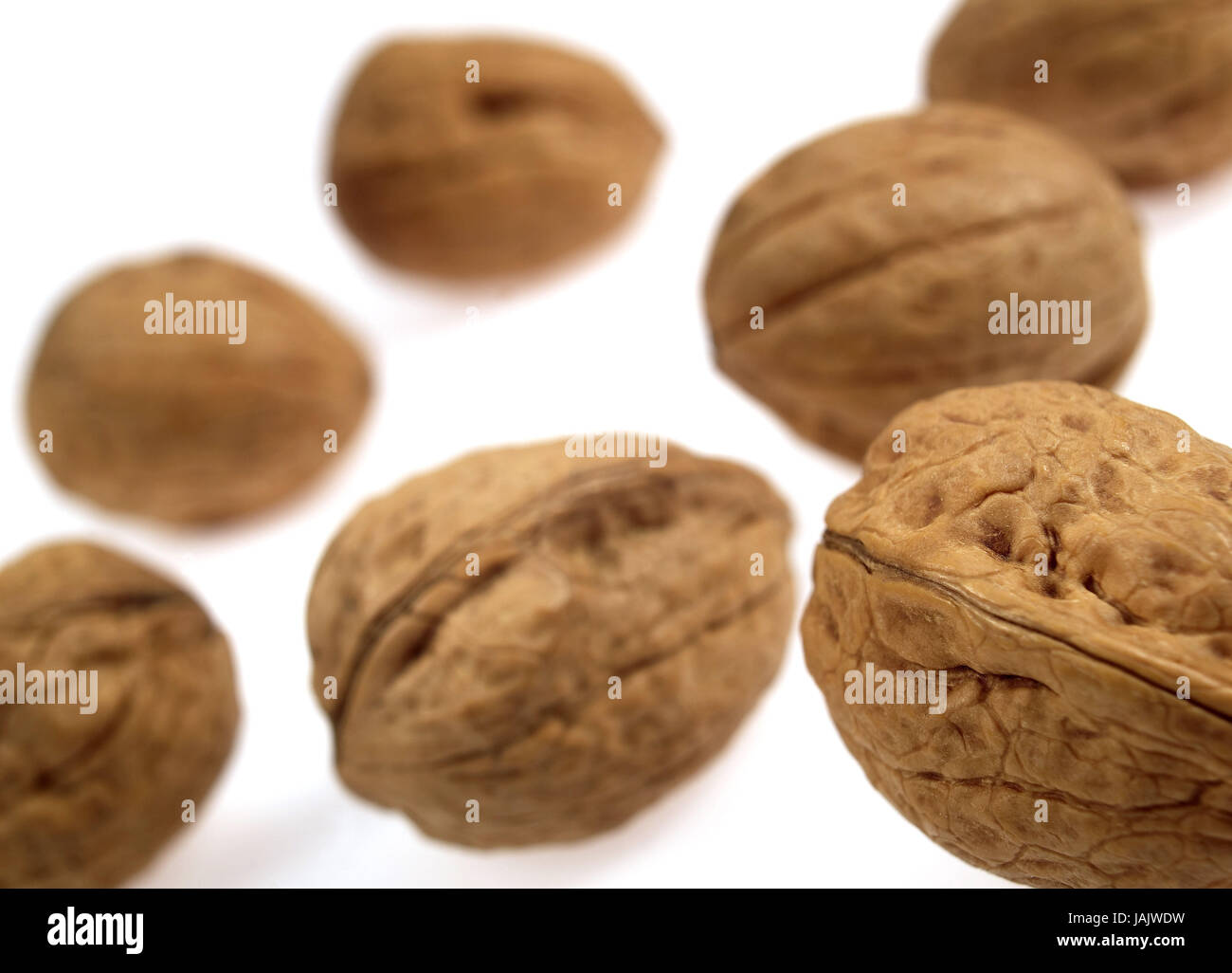 Real walnut,Juglans regia,white background Stock Photo - Alamy