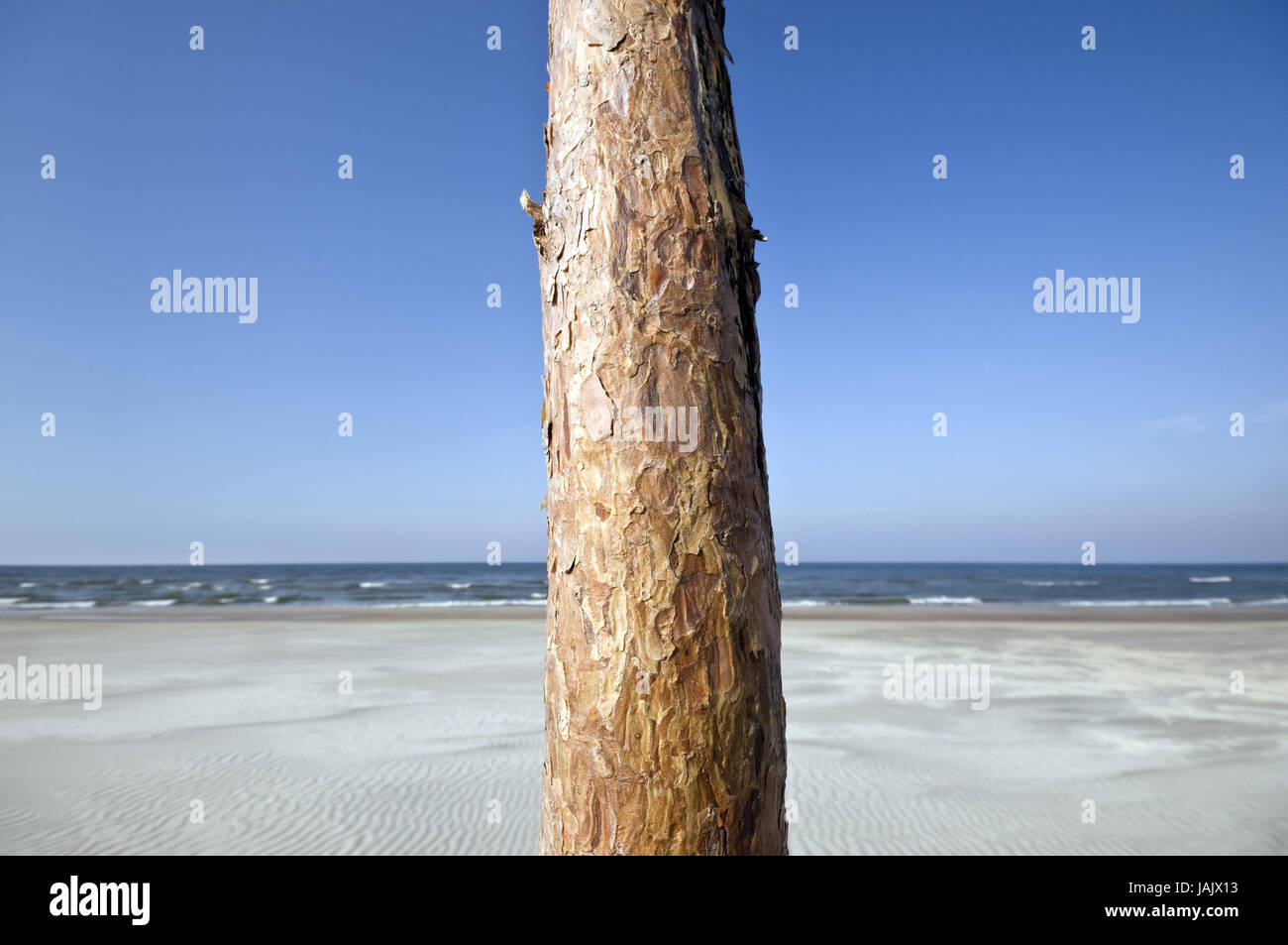 Trunk beach hi-res stock photography and images - Alamy