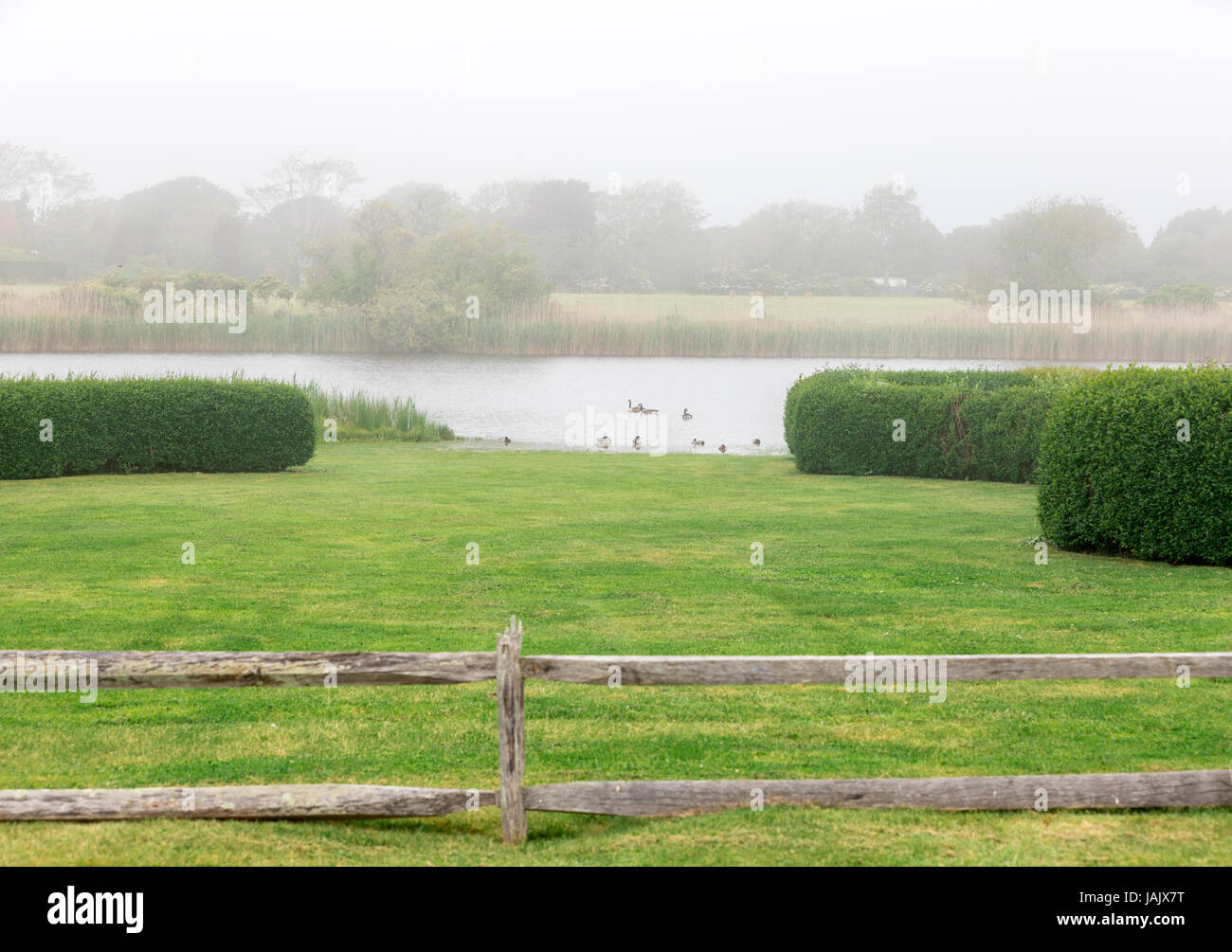 Pond and ducks hi-res stock photography and images - Alamy