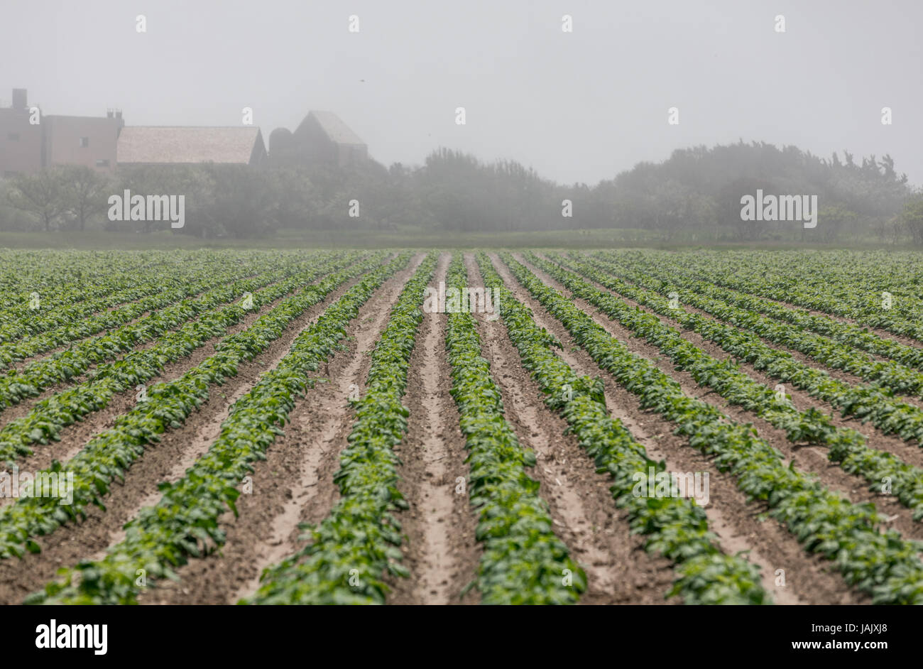Tended to by a farmer hi-res stock photography and images - Alamy