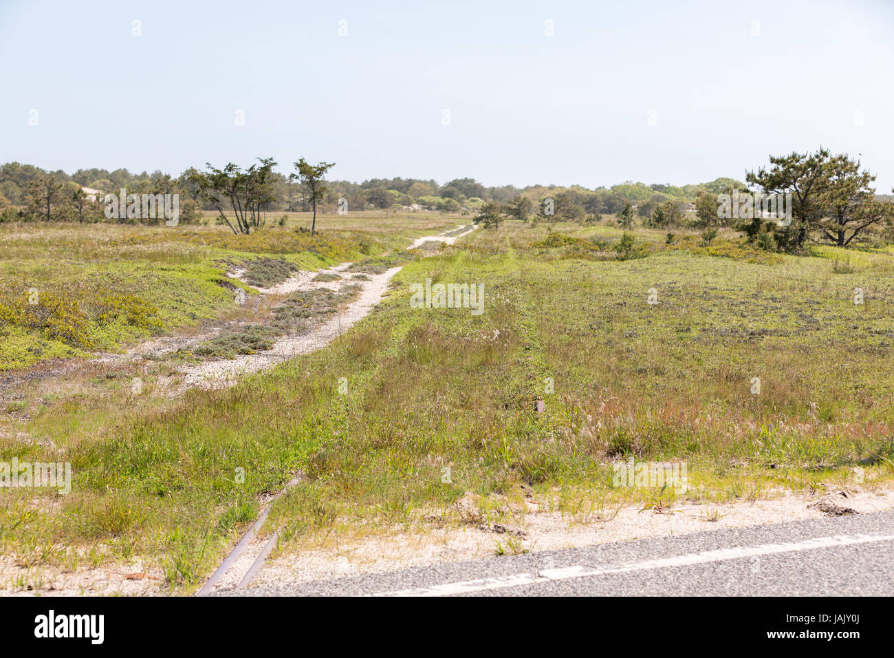 old abandoned railroad tracks in eastern long island, ny Stock Photo ...