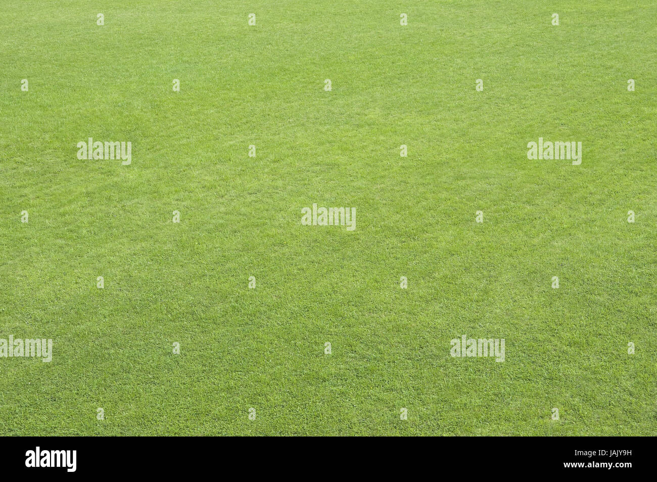 Pitch plant hi-res stock photography and images - Alamy