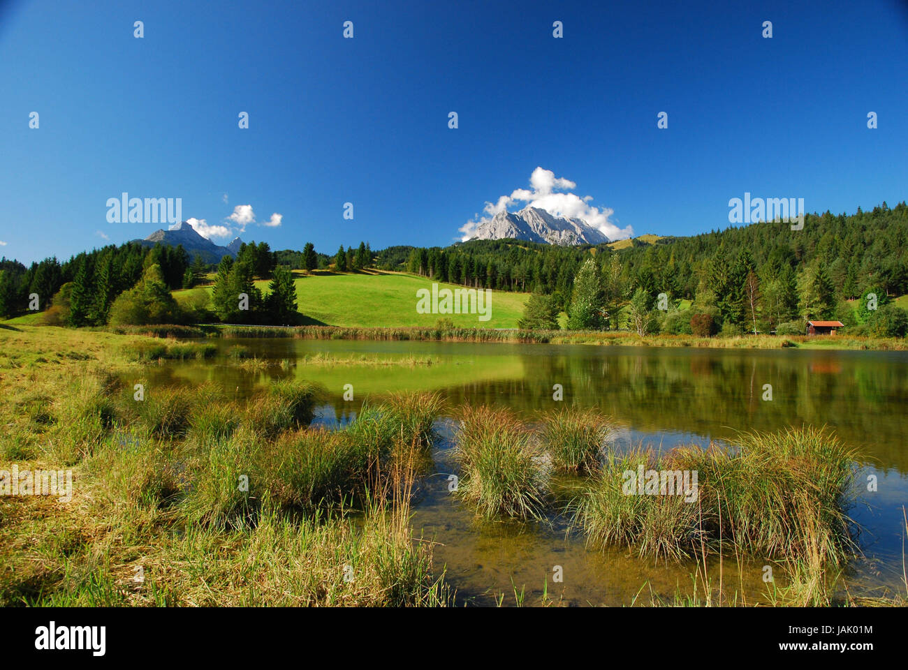 Germany,Bavaria,Mittenwald,Isar valley,narrow lake,reed shore,mountain ...