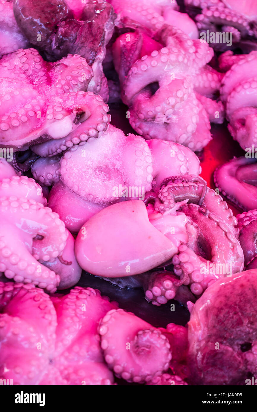 Octopoida hi-res stock photography and images - Alamy