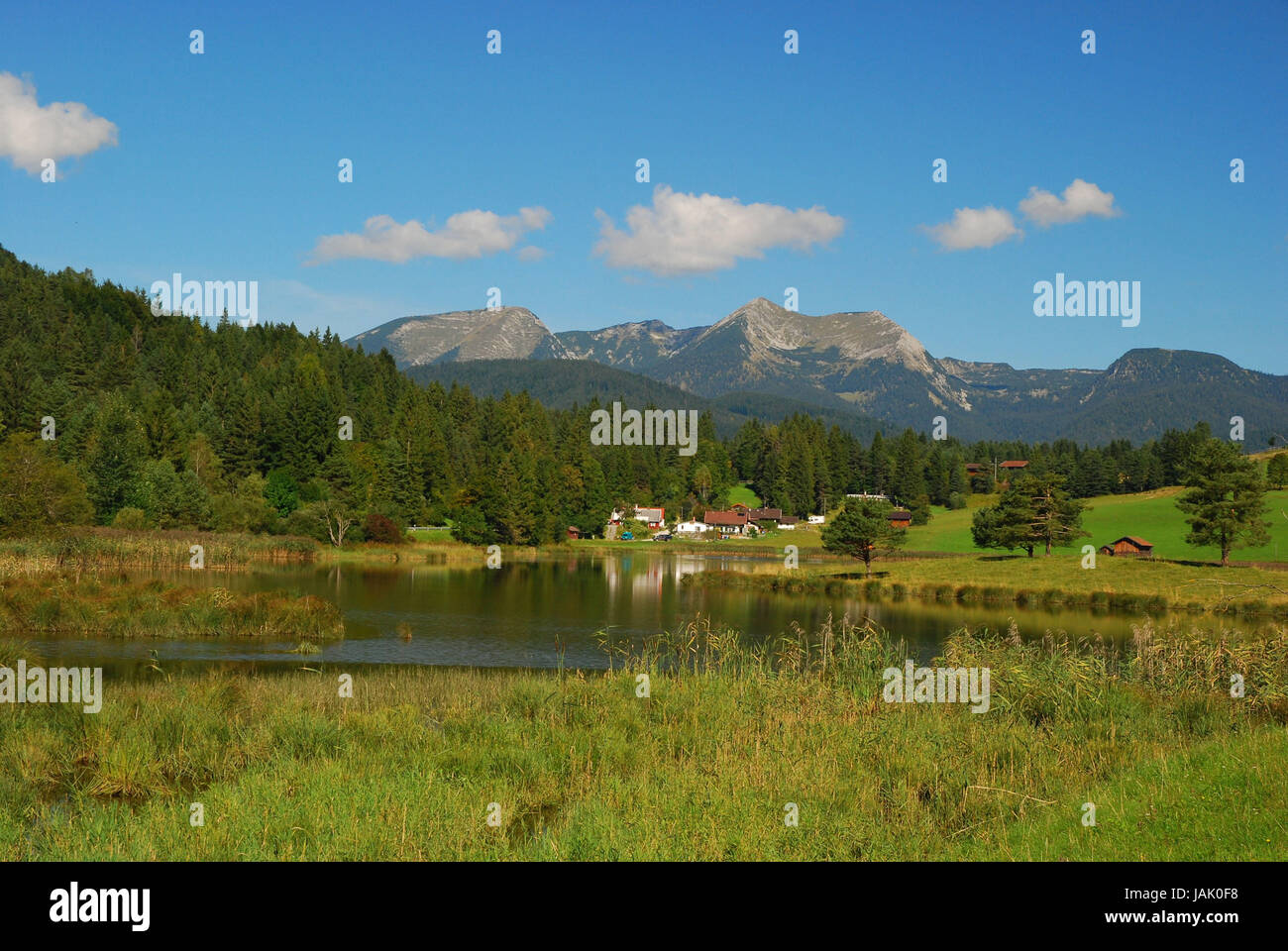 Germany,Bavaria,Mittenwald,Isar valley,narrow lake,reed shore ...