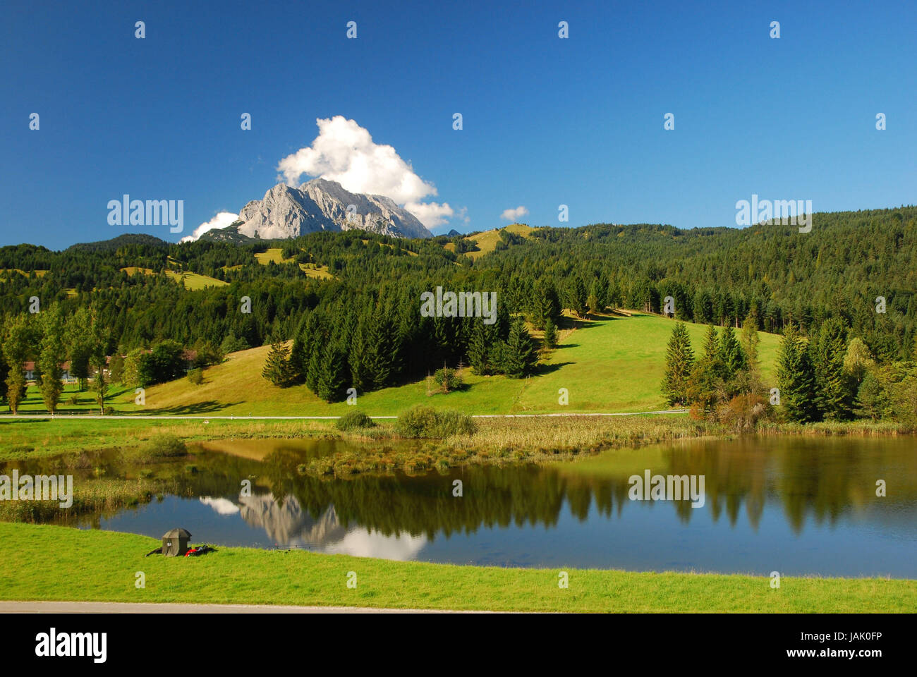 Germany,Bavaria,Mittenwald,Isar valley,narrow lake,reed shore,wood ...